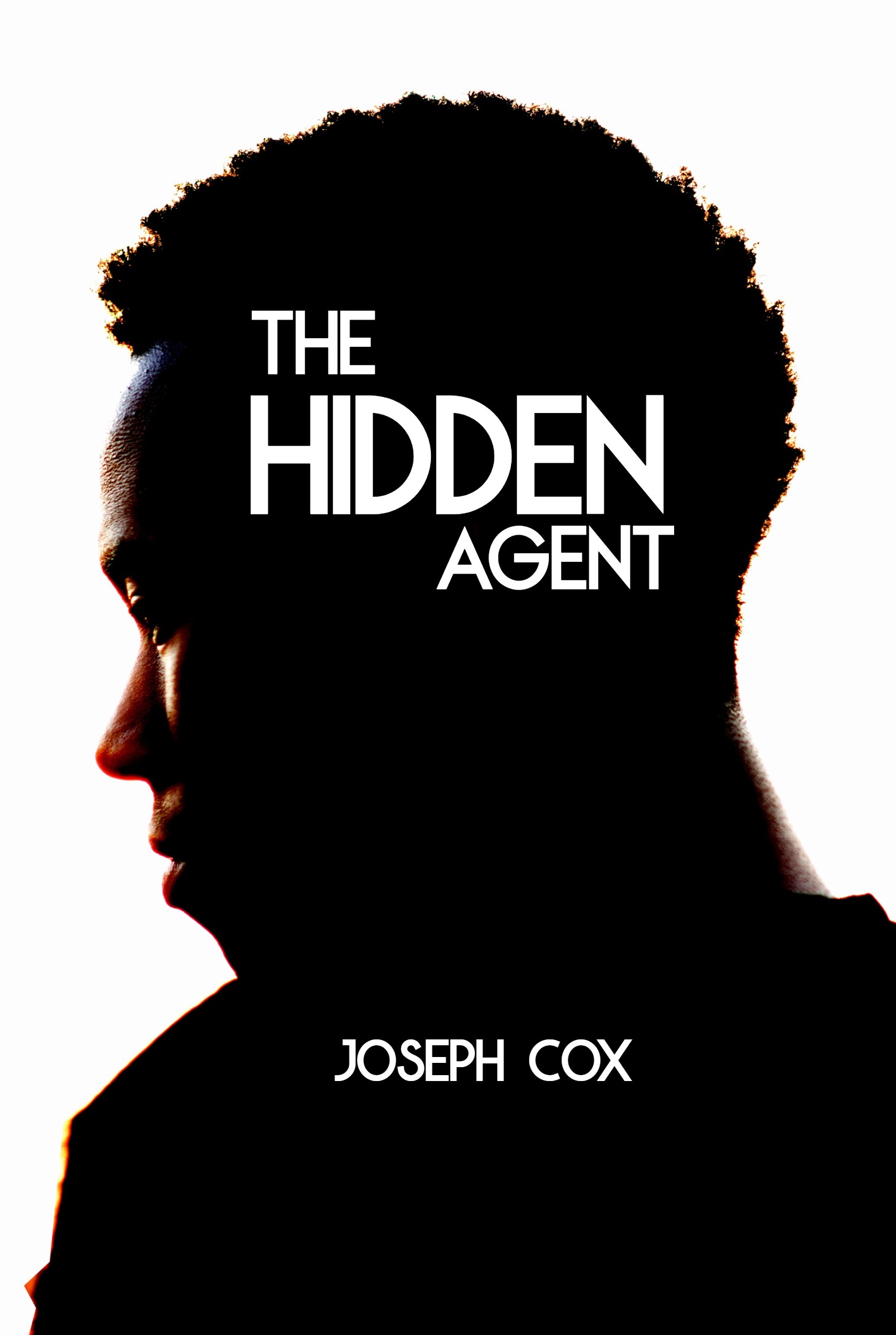 The Hidden Agent | a thriller by Joseph Cox